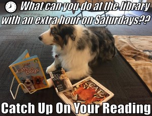 Just for Fun–Library Memes I Made – The Lego Librarian