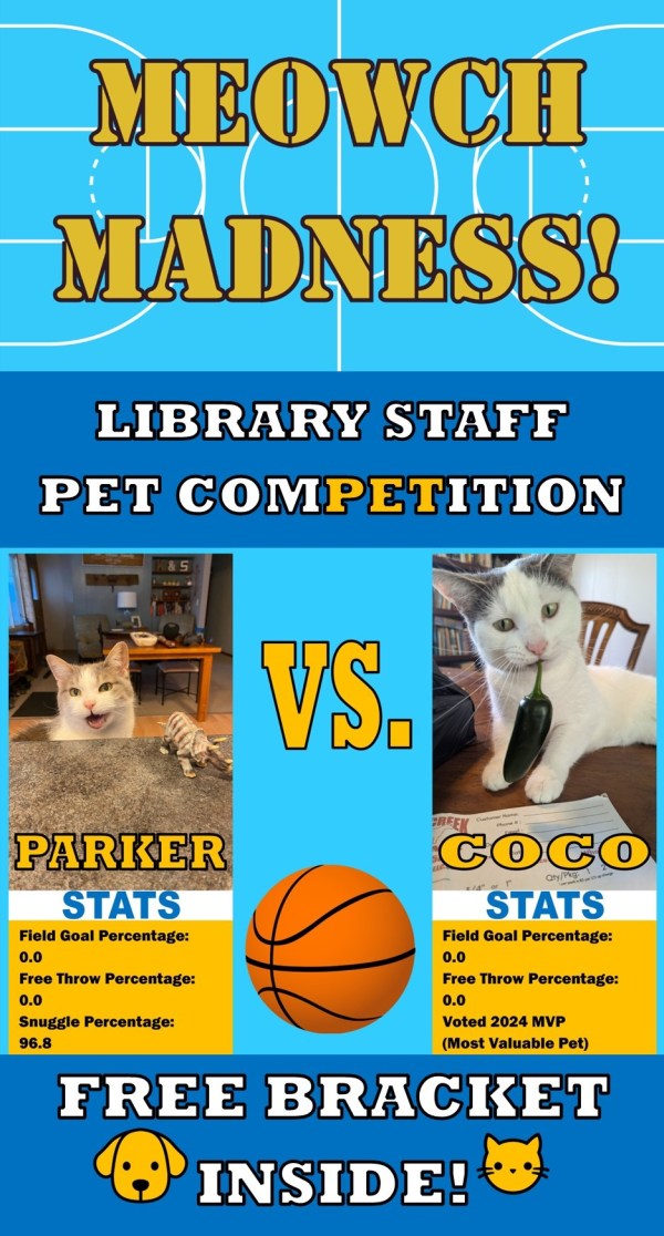 Kids Programming – The Lego Librarian