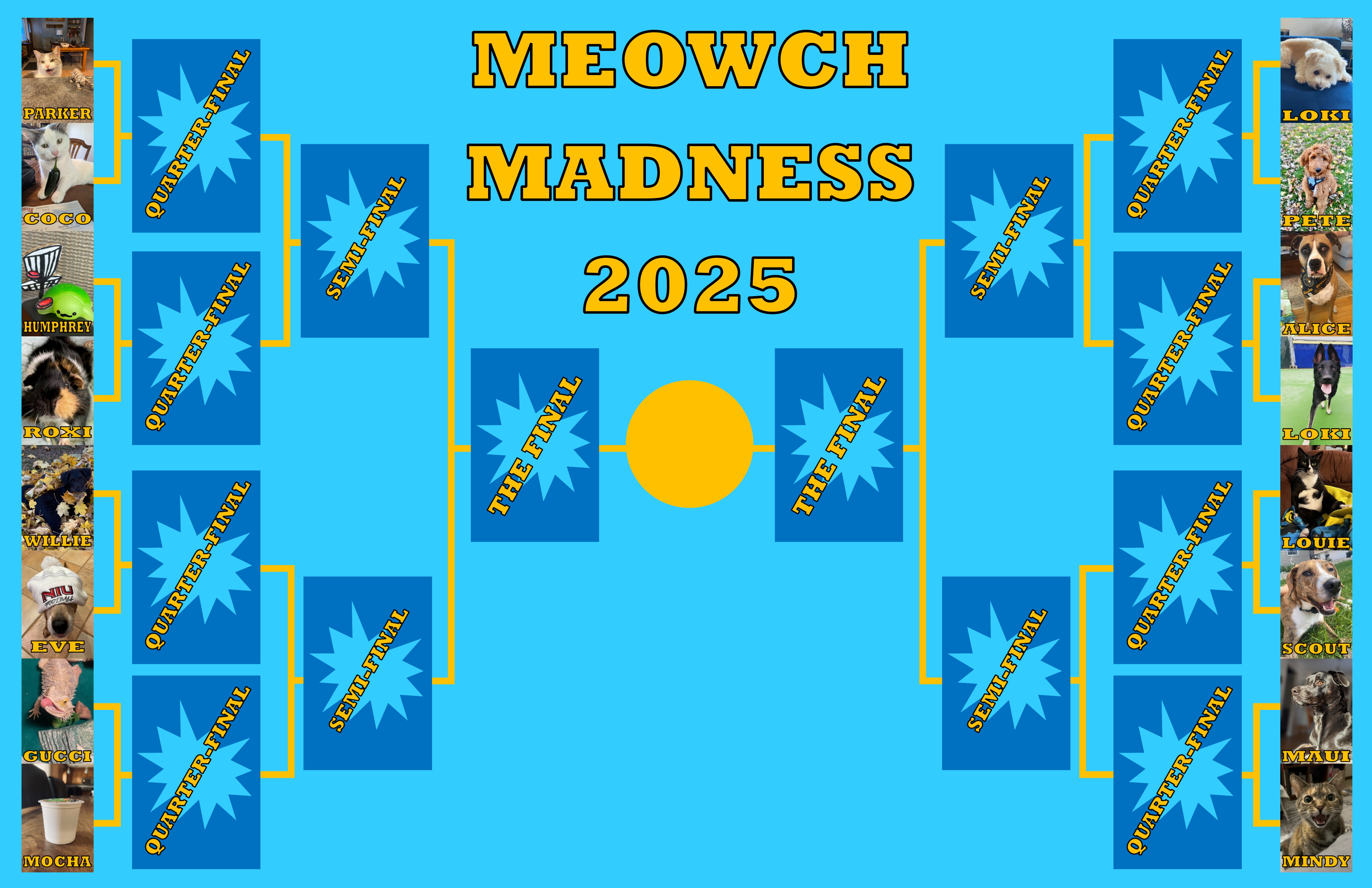 Meowch Madness–Staff Pet Brackets – The Lego Librarian